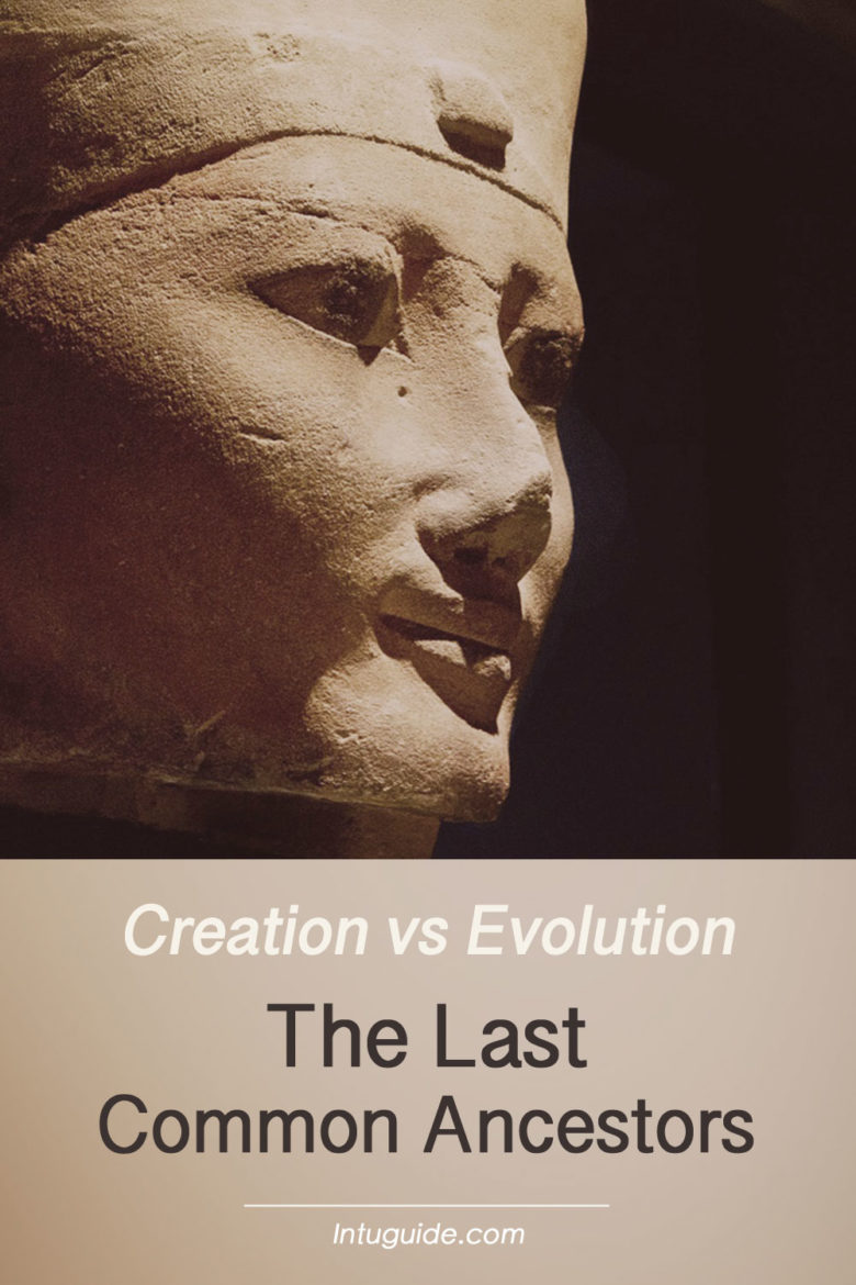 The Last Universal Common Ancestor - Intuguide